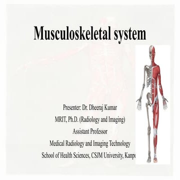 Musculoskeletal systemIt is composed of bones, muscles, connective ...