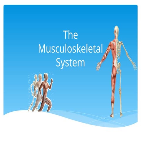 Musculoskeletal System | PPT