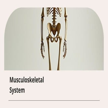 Musculoskeletal System.pptx Approach to Neonatal Intestinal Obstruction ...