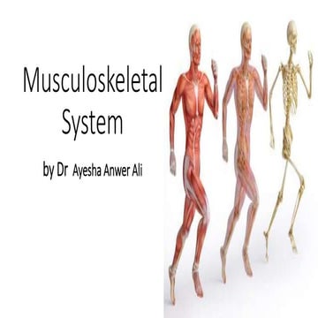 Musculoskeletal System lecture 01.pptx