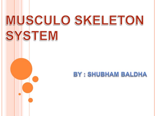 The skeletal and muscular system | PPT