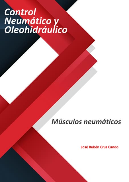Simbologia neum iso_1219 | PDF