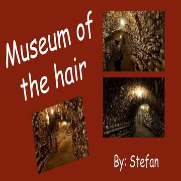 Museum of the hair | PPTX