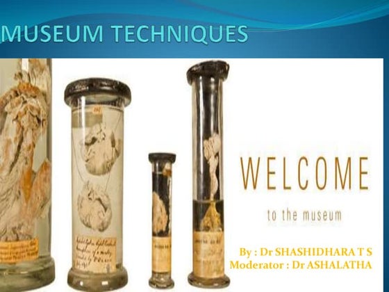 Methods to preserve specimens | PPTX | Alcoholic Beverages | Food & Drink