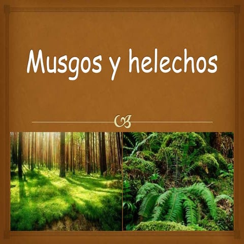 Musgos y helechos powerpoint acabado | PPTX