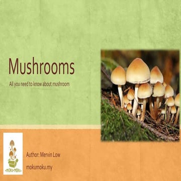Classification of mushrooms
