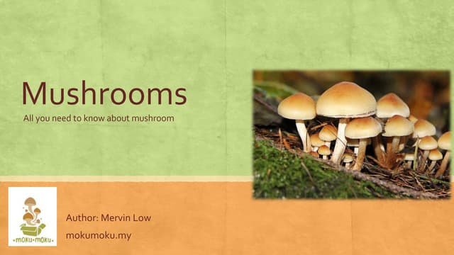 Classification of mushrooms | PDF