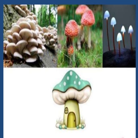 MUSHROOM CULTIVATION.pptx