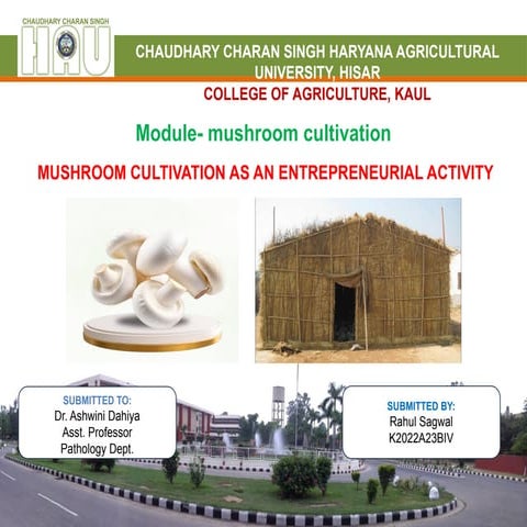 MUSHROOM CULTIVATION.pptx