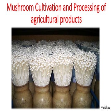 Mushroom cultivation and processing of agricultural products | PPTX