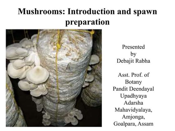 Cultivation of white button mushroom | PPT