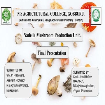 Mushroom Final PPt final.pptx