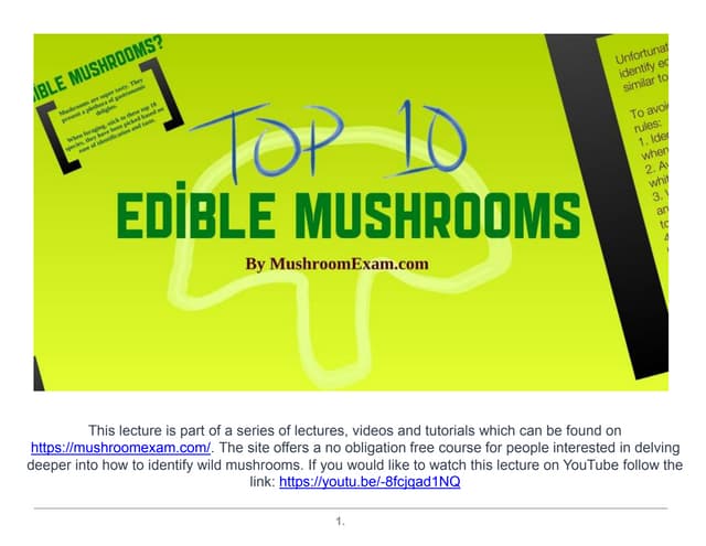 Classification of mushrooms | PDF