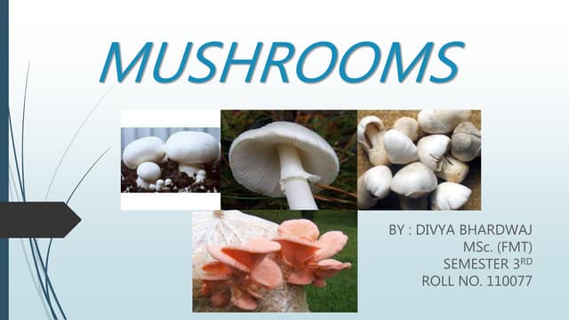 Classification of mushrooms | PDF