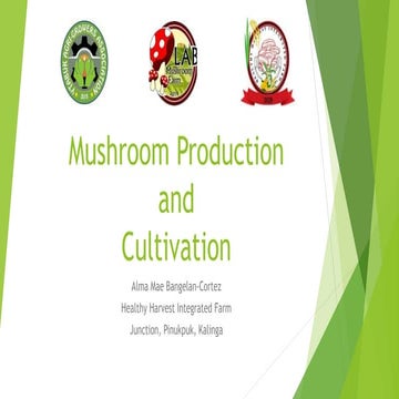 Mushroom Training.pptx