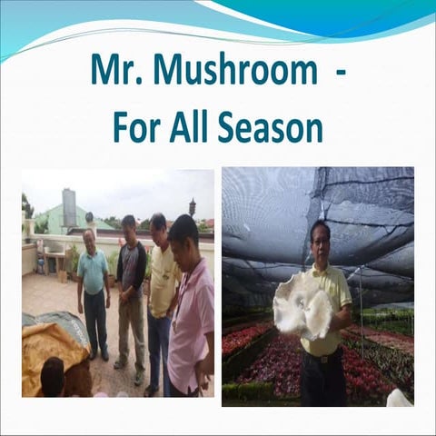 MUSHROOM TRAINING PRESENTATION.pptx
