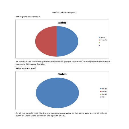 Music video report | DOCX