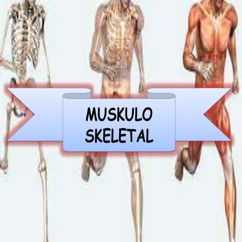 Muskulo Skeletal | PPTX