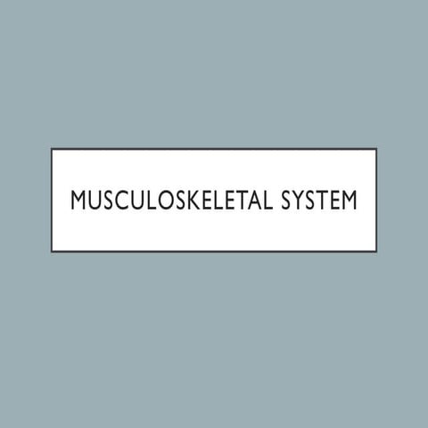 ANATOMI FISIOLOGI SISTEM MUSKULOSKELETAL | PPTX