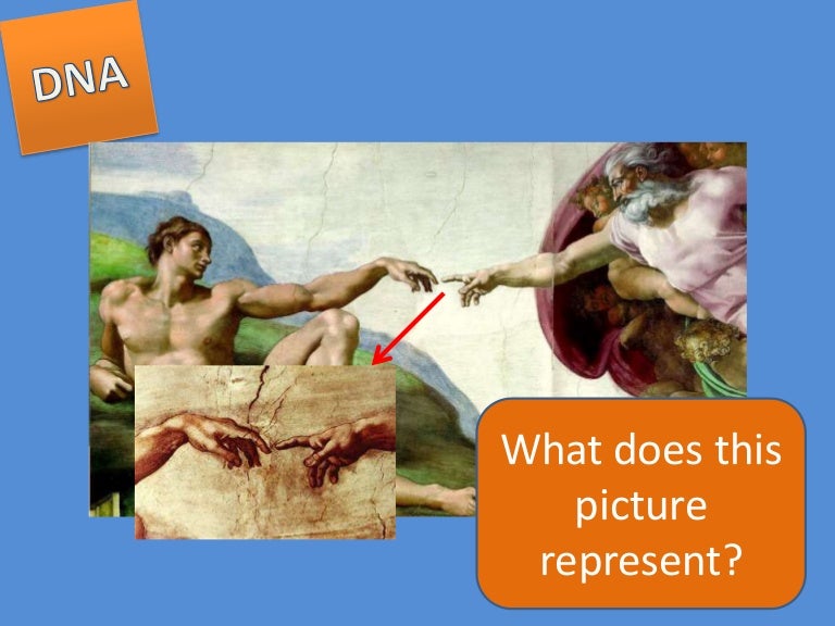 Muslim And Christian Creation Story muslim-and-christian-creation-story