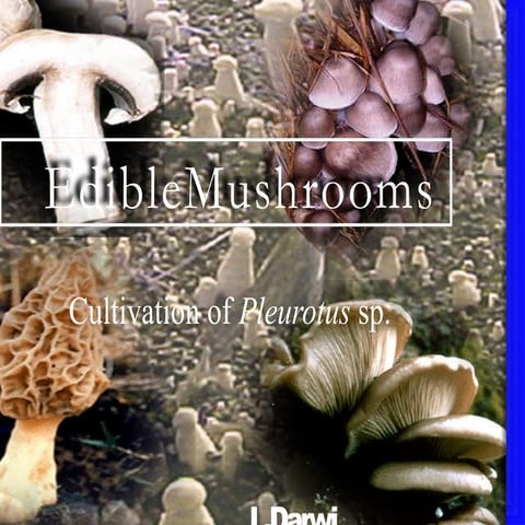 musroom cultivation edible mushroom unit 2 | PPT