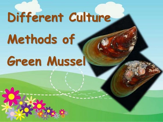 Culture Methods of Mussels | PPTX