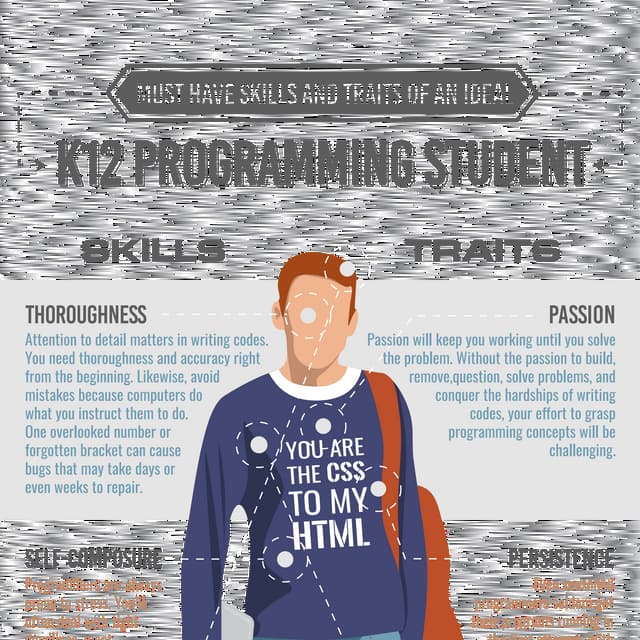 Anatomy of an Ideal K12 Programming Senior High School Student | PDF