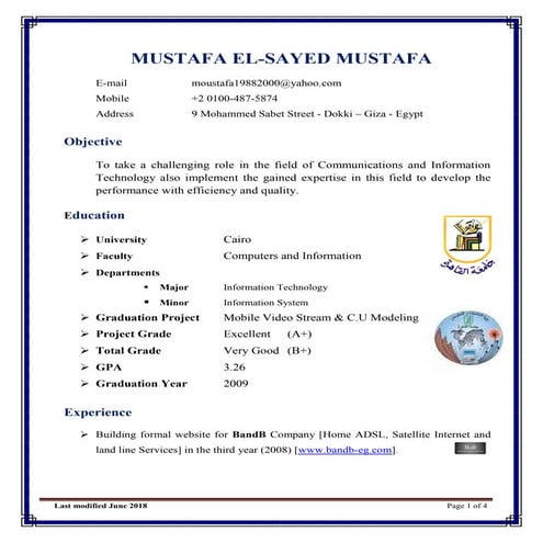 Mustafa el-sayed cv | PDF | Telecommunications Industry | Industries