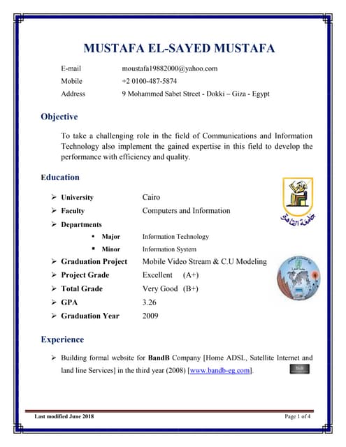 Curriculum vitae | PDF