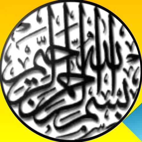 BIOGRAPHY DR MUHAMMAD MUSTANSAR | PPT