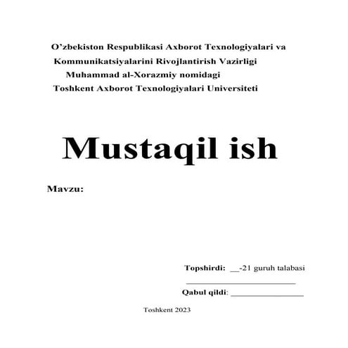 Mustaqil ish .docx