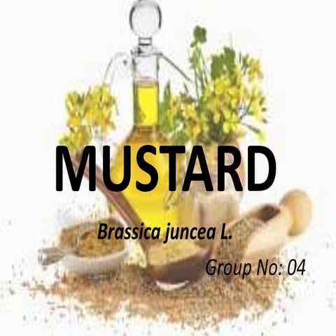 mustard-141024133858-conversion-gate02.pdf