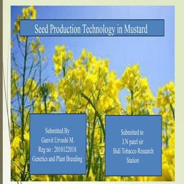 seed production thechnology in mustard.pptx