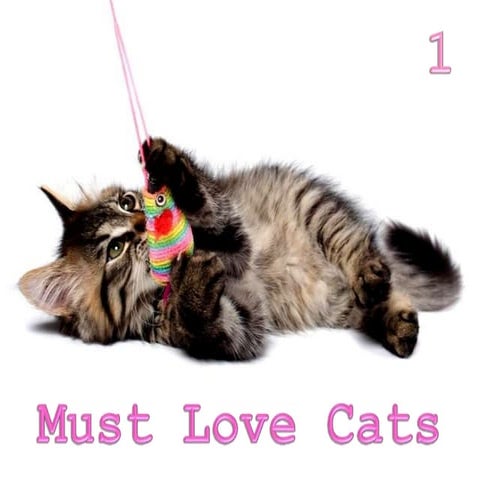 MUST LOVE CATS 1 | PPSX