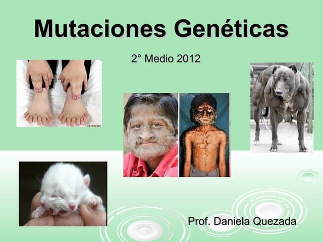 Tema 6 mutacion genicay cromosomica