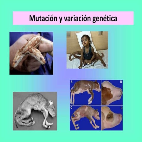 Mutacion y variacion_genetica | PPTX