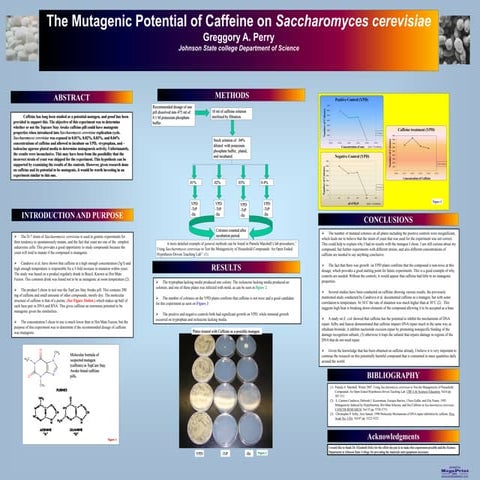 Mutagenesis Poster | PDF