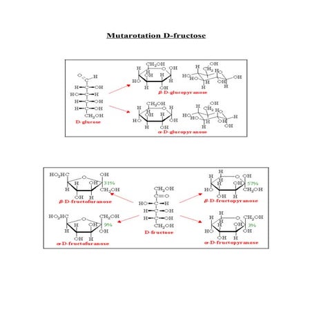 Carbohydrates Biochemistry | PDF