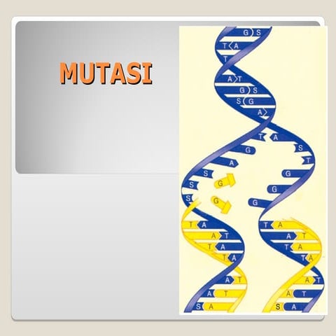 Mutasi, Pengertian, Penyebab, Jenis, dan Contoh | PPT