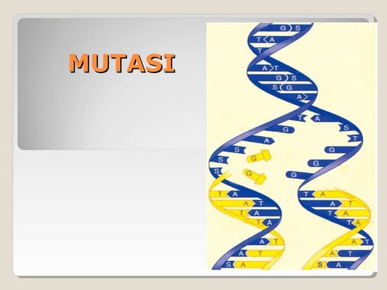 Tabel perkalian 1 sampai 1000 | PPT