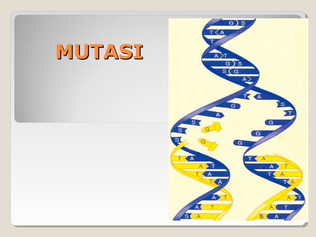 MATERI Sistem saraf KELAS XI SMA | PDF