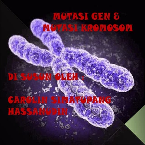 MUTASI_GEN_and_MUTASI_DNA_ppt.pptx and zain dan hamizan | PPTX