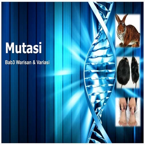 Mutasi | PPTX
