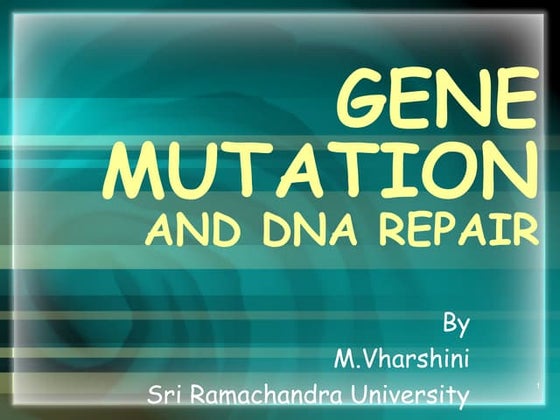 Gene mutations ppt | PPT