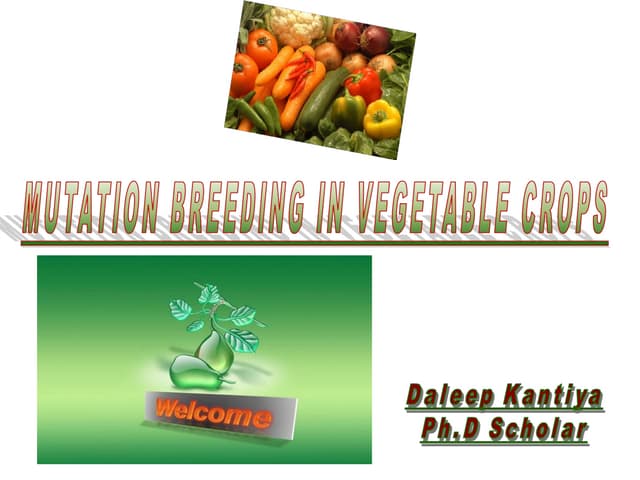 Presentation on Cultivation of ker | PPTX