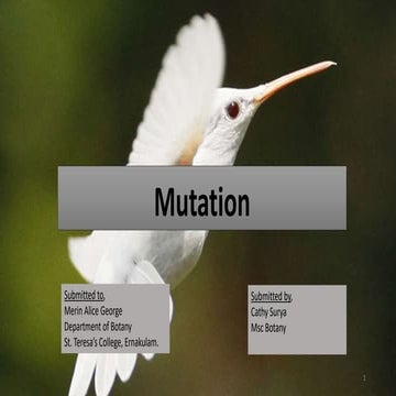 Mutation : types and features........... | PPTX