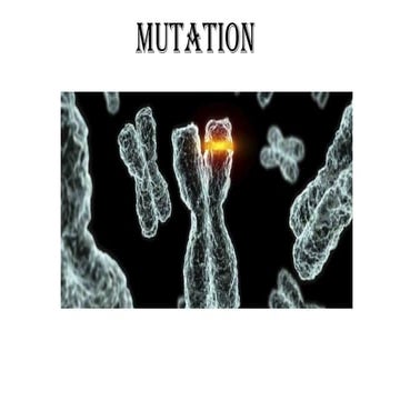 Spontaneous and induced mutations | PPTX