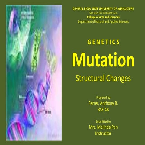 Mutation genetics | PPT