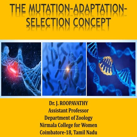 Mutation, adaptation and selection concept | PPT
