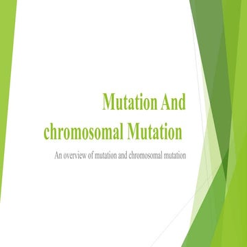 chromosomal mutation | PPT